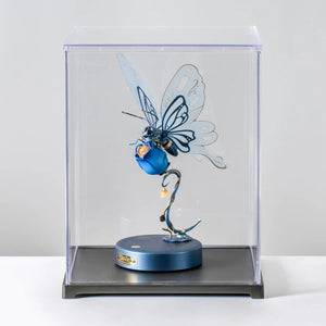 ROKR Storage Display Box
